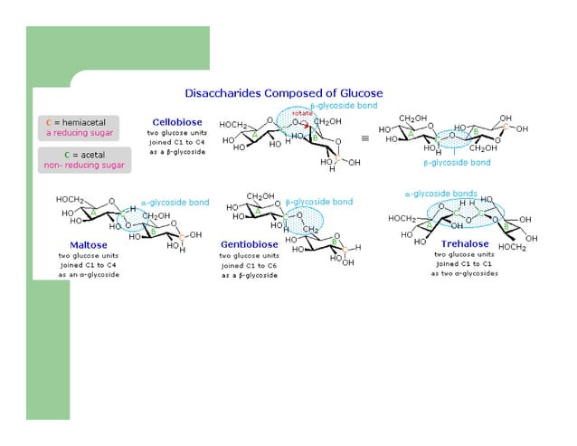 Carbohydrates ppt biochemistry pharmacy for students | PPTX | Chemistry ...