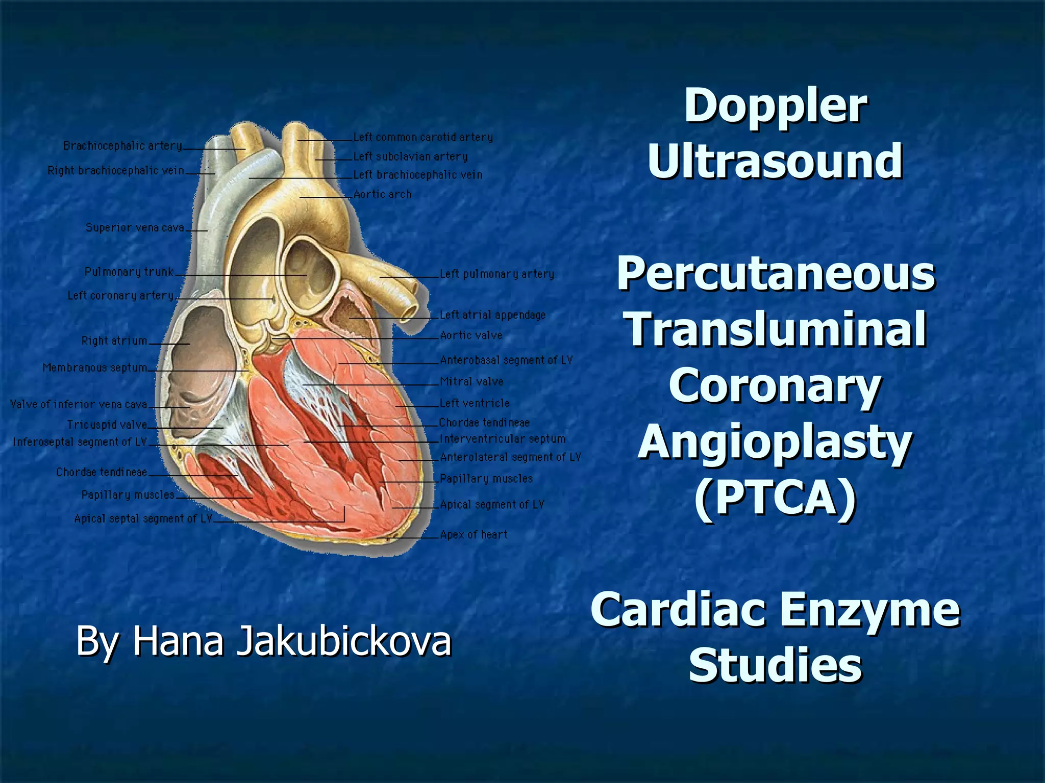 Doppler Ultrasound, PTCA, Cardiac Enzyme Studies | PPT | Heart and ...