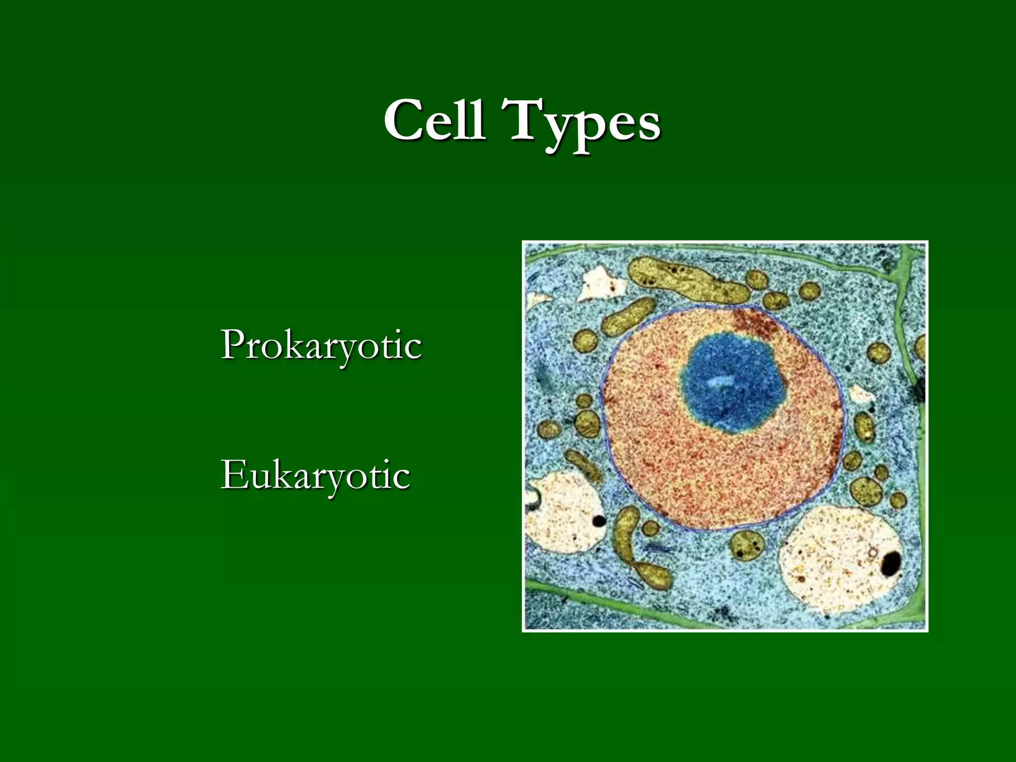 Cell Histology, Structure and Function of Cell, | PPT