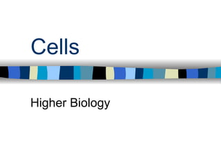 1. Cells | PPT