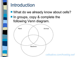 1. Cells | PPT | Biological Sciences | Science