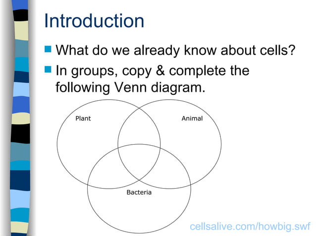1. Cells | PPT | Biological Sciences | Science