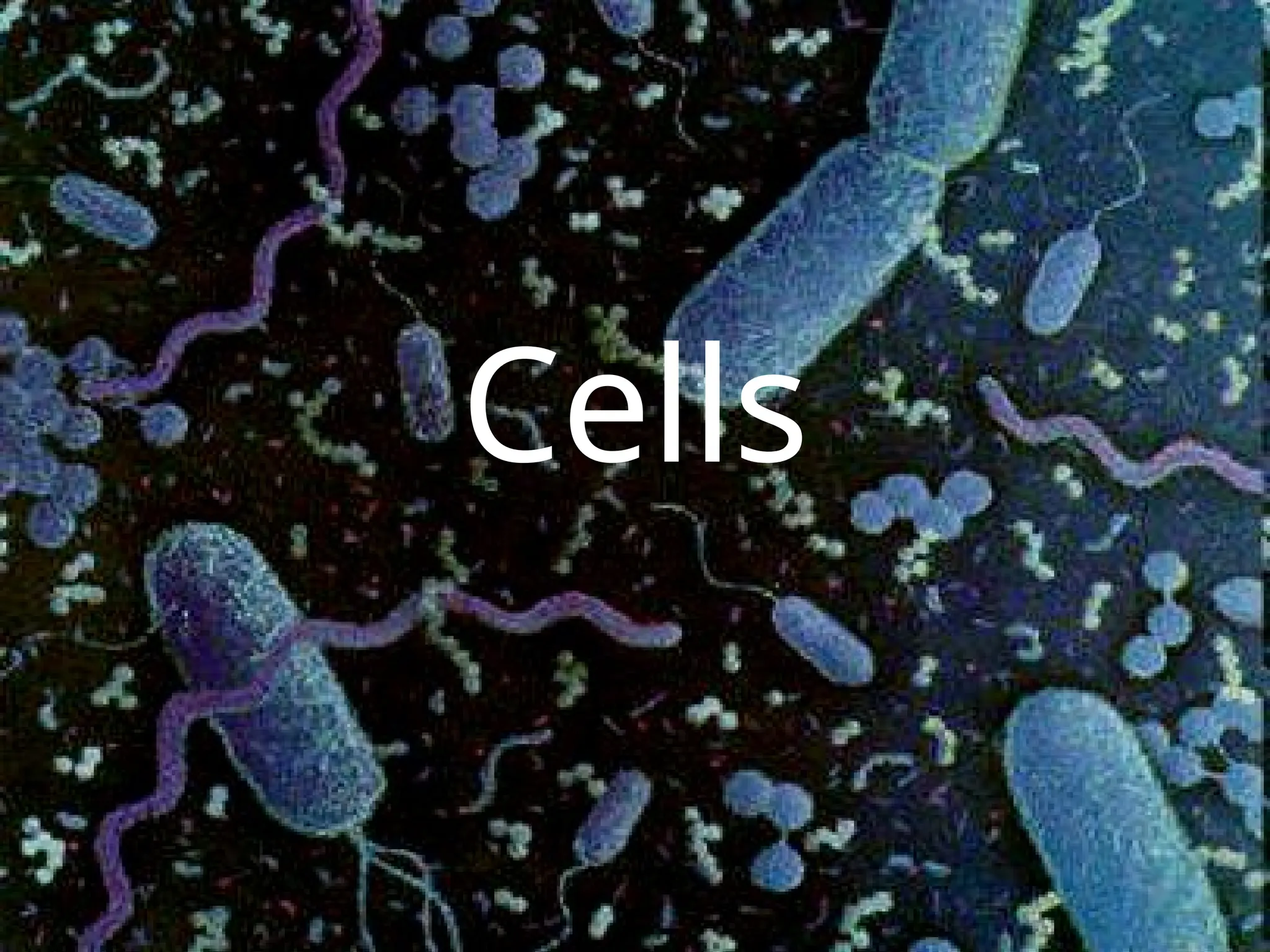 Cells and cell theory Biology For Engineers | PPT