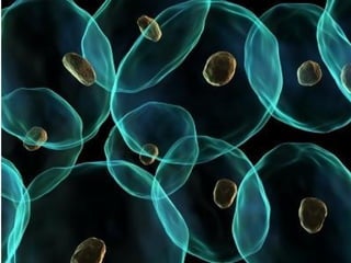 Cells and cell theory Biology For Engineers | PPT