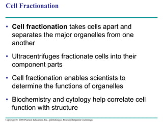 Cell Structure for AS Level. Student and teacher can use this for their ...
