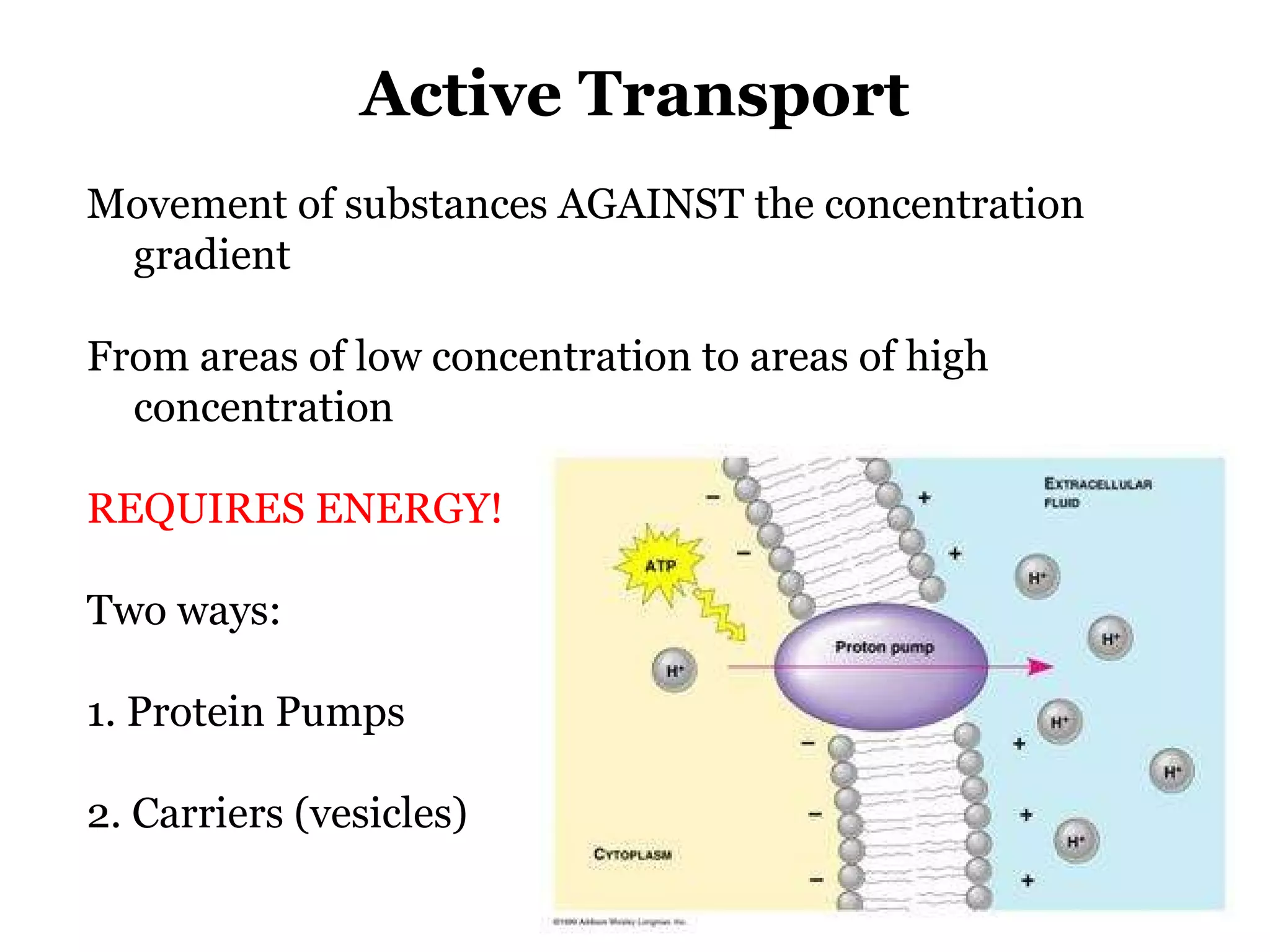 Cell Theory & Membranes | PPT