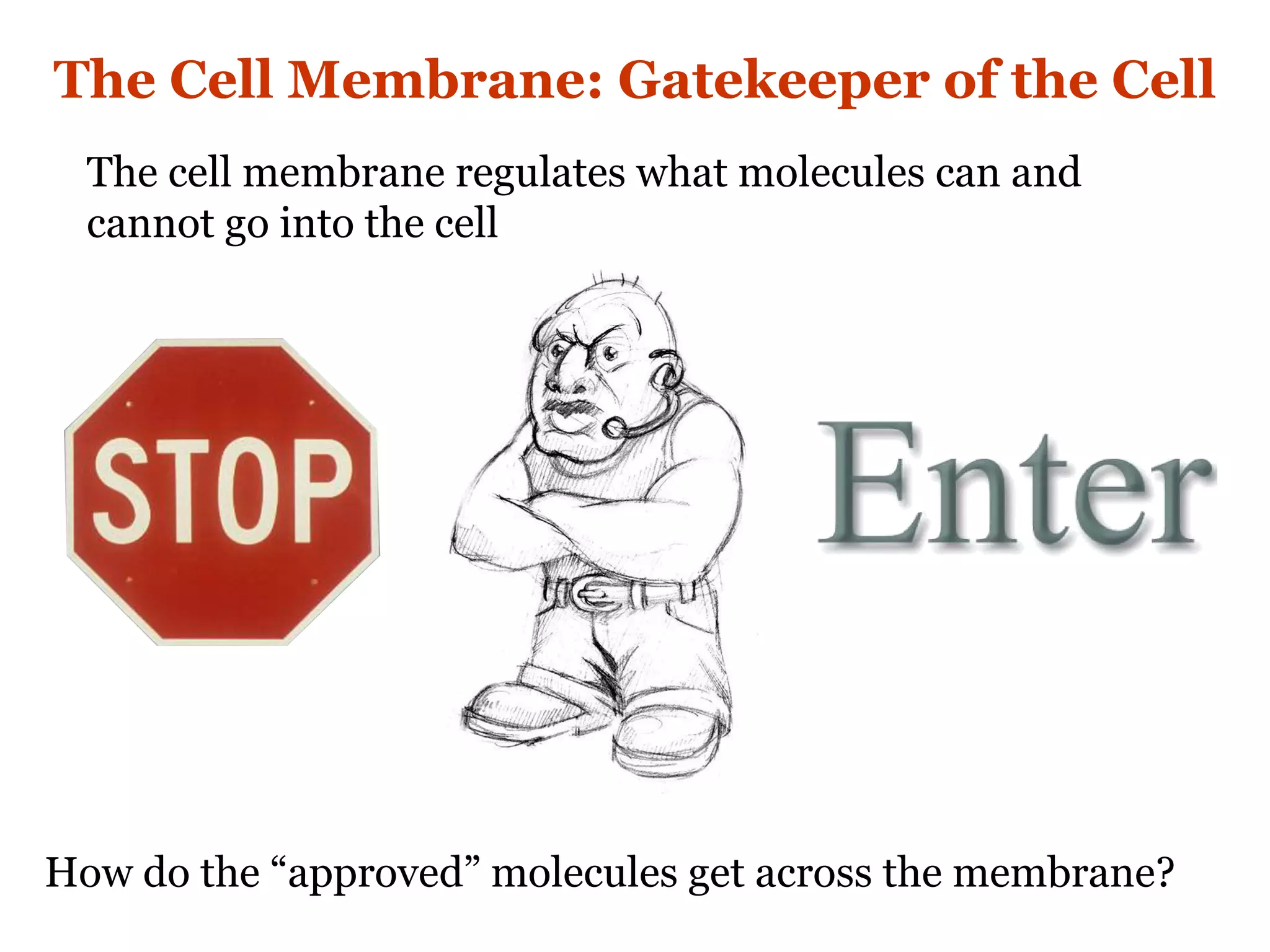 Cell Theory & Membranes | PPT | Chemistry | Science