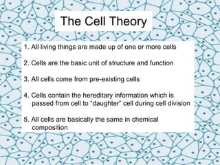Cell Theory & Membranes | PPT