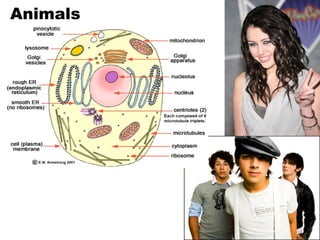 Cell Theory & Membranes | PPT