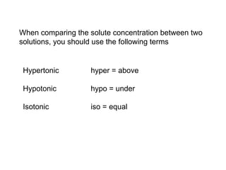 Cell Theory & Membranes | PPT | Chemistry | Science