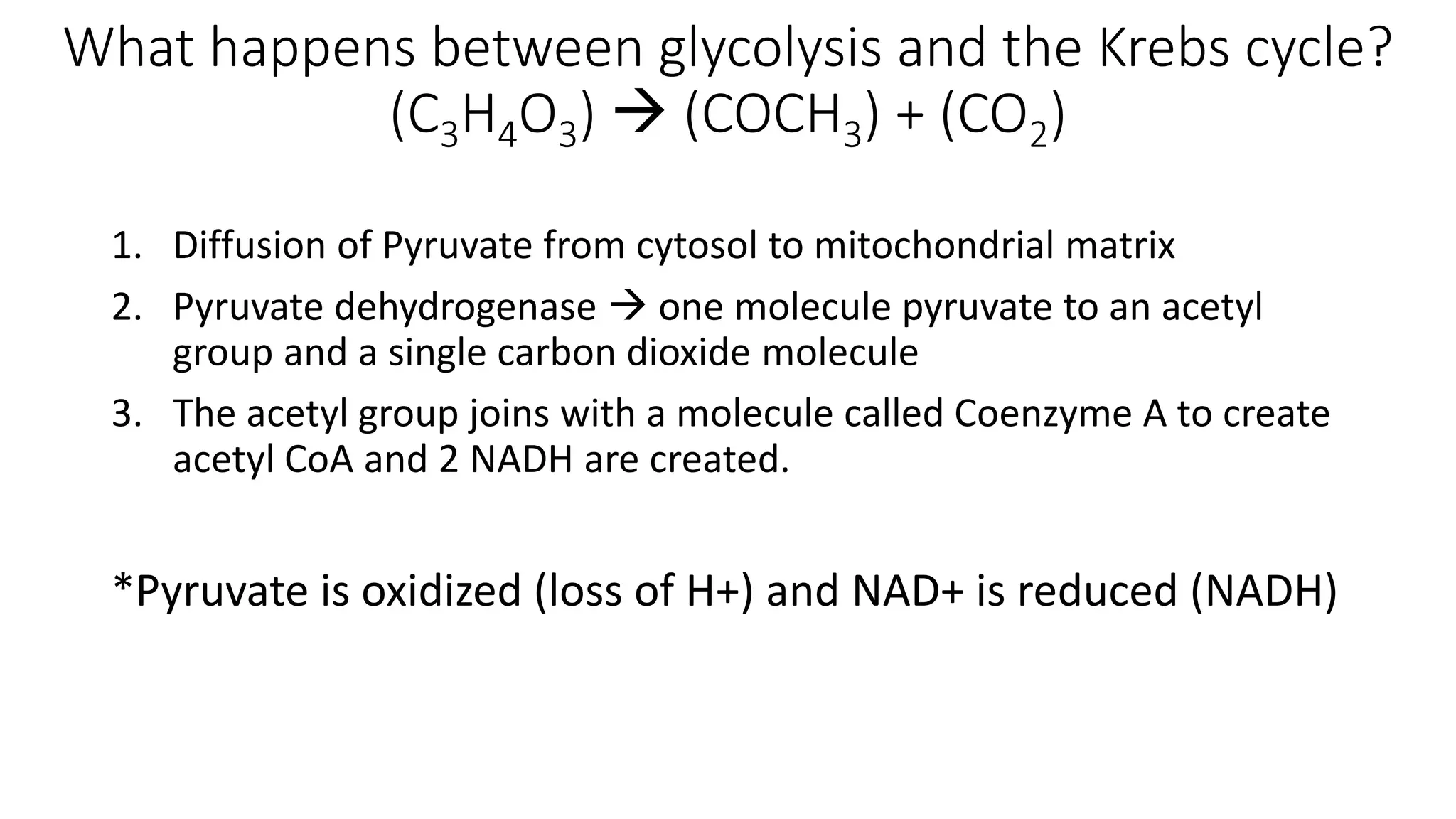 1 Cellular Respiration PPT 1-cellular-respiration-ppt