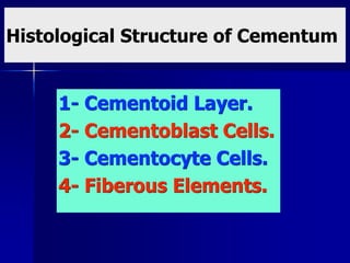 1 cementum | PPT