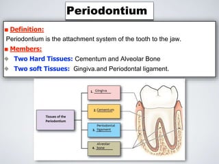 1 cementum | PPTX