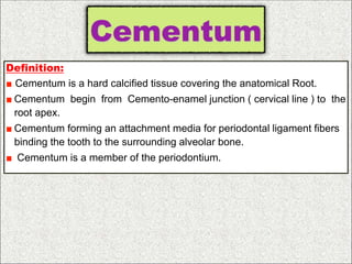1 cementum | PPT
