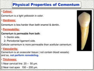1 cementum | PPT