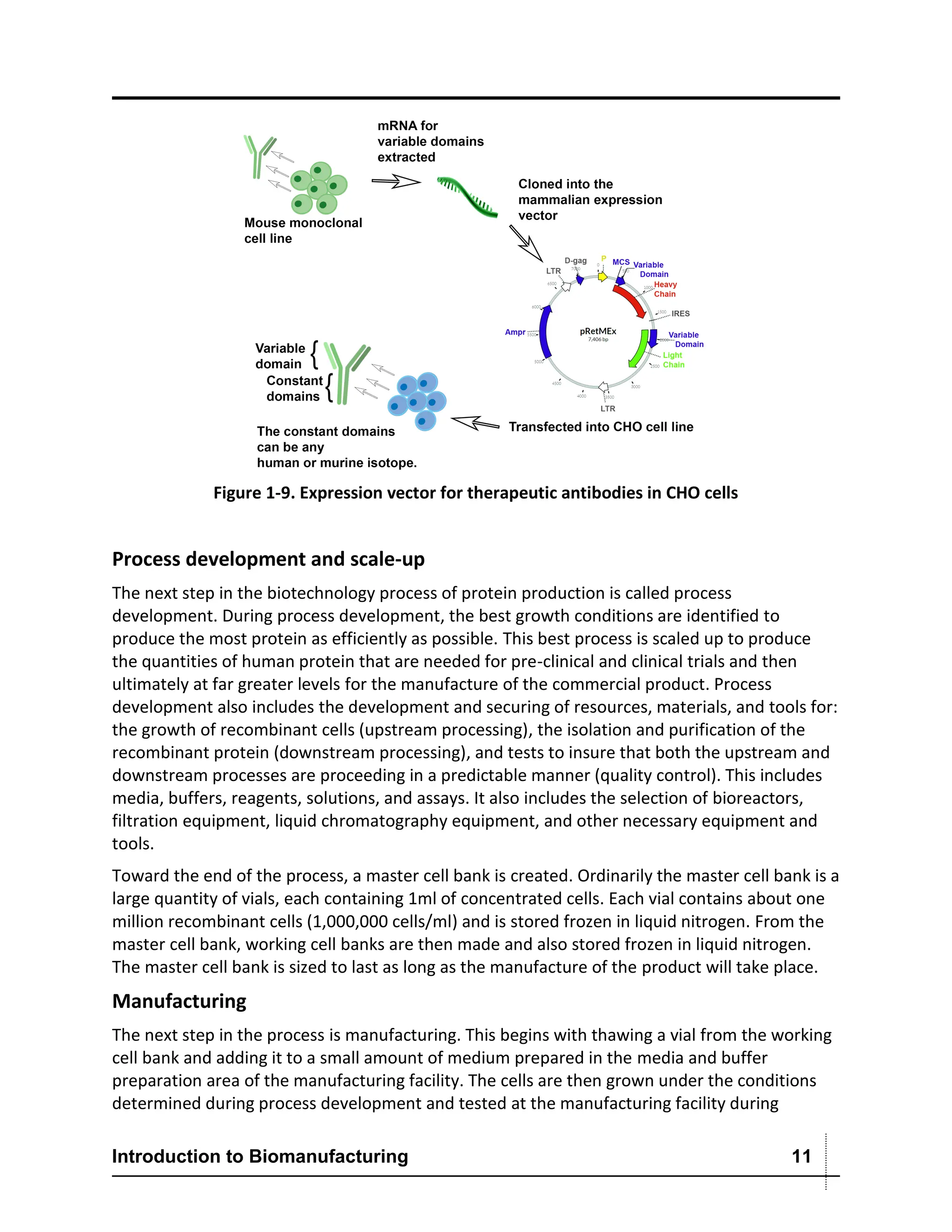 Introduction to Biomanufacturing process | PDF