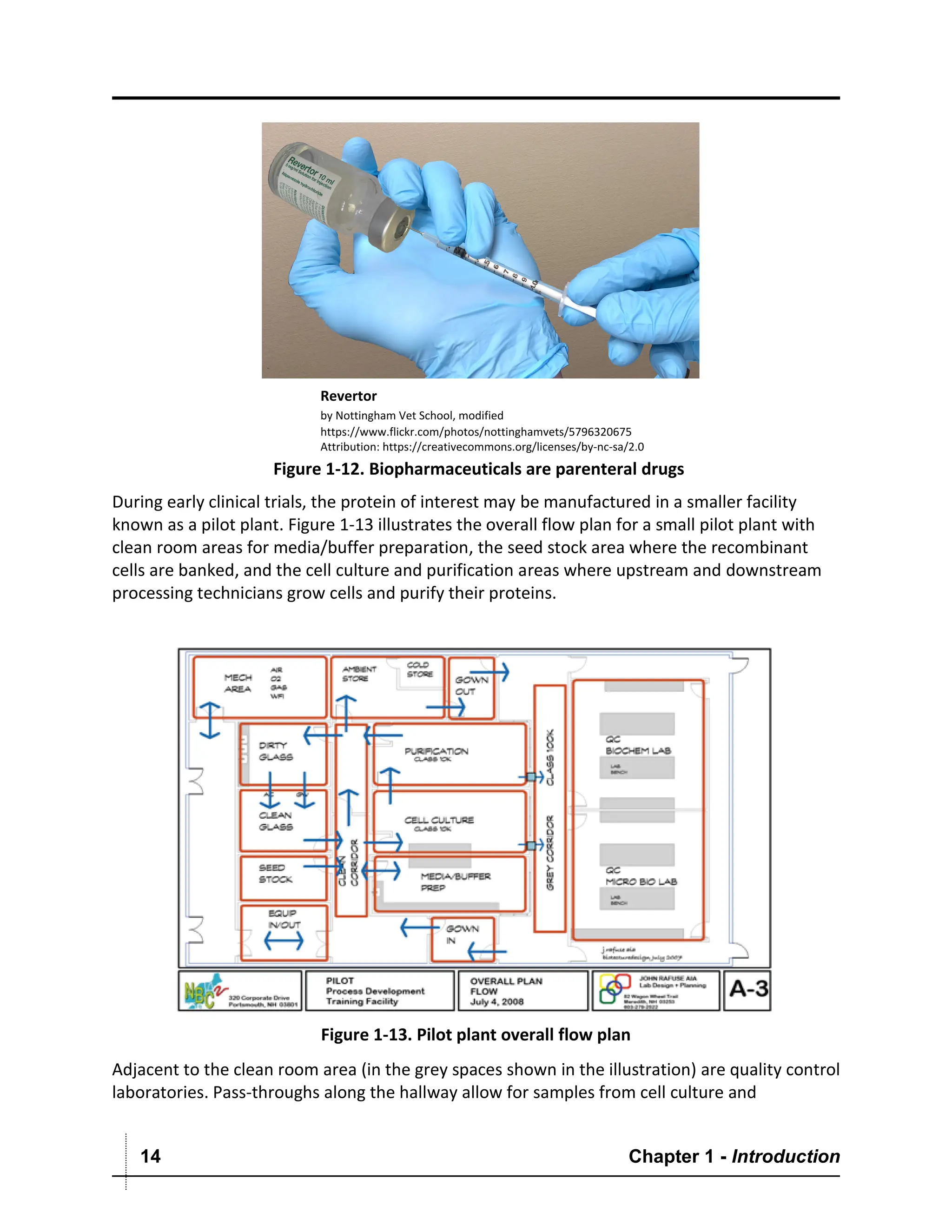 Introduction to Biomanufacturing process | PDF