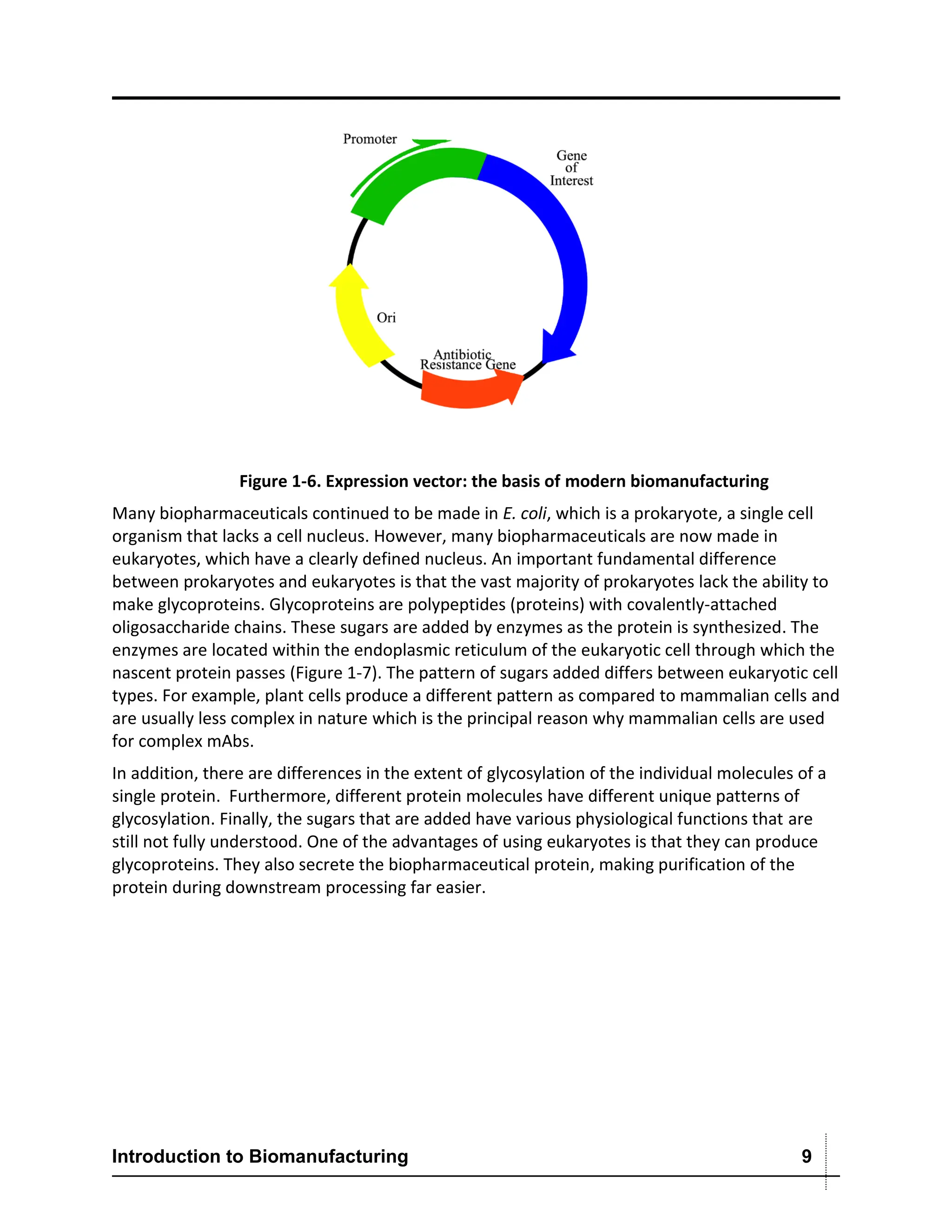 Introduction to Biomanufacturing process | PDF