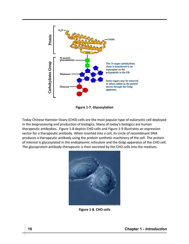 Introduction to Biomanufacturing process | PDF