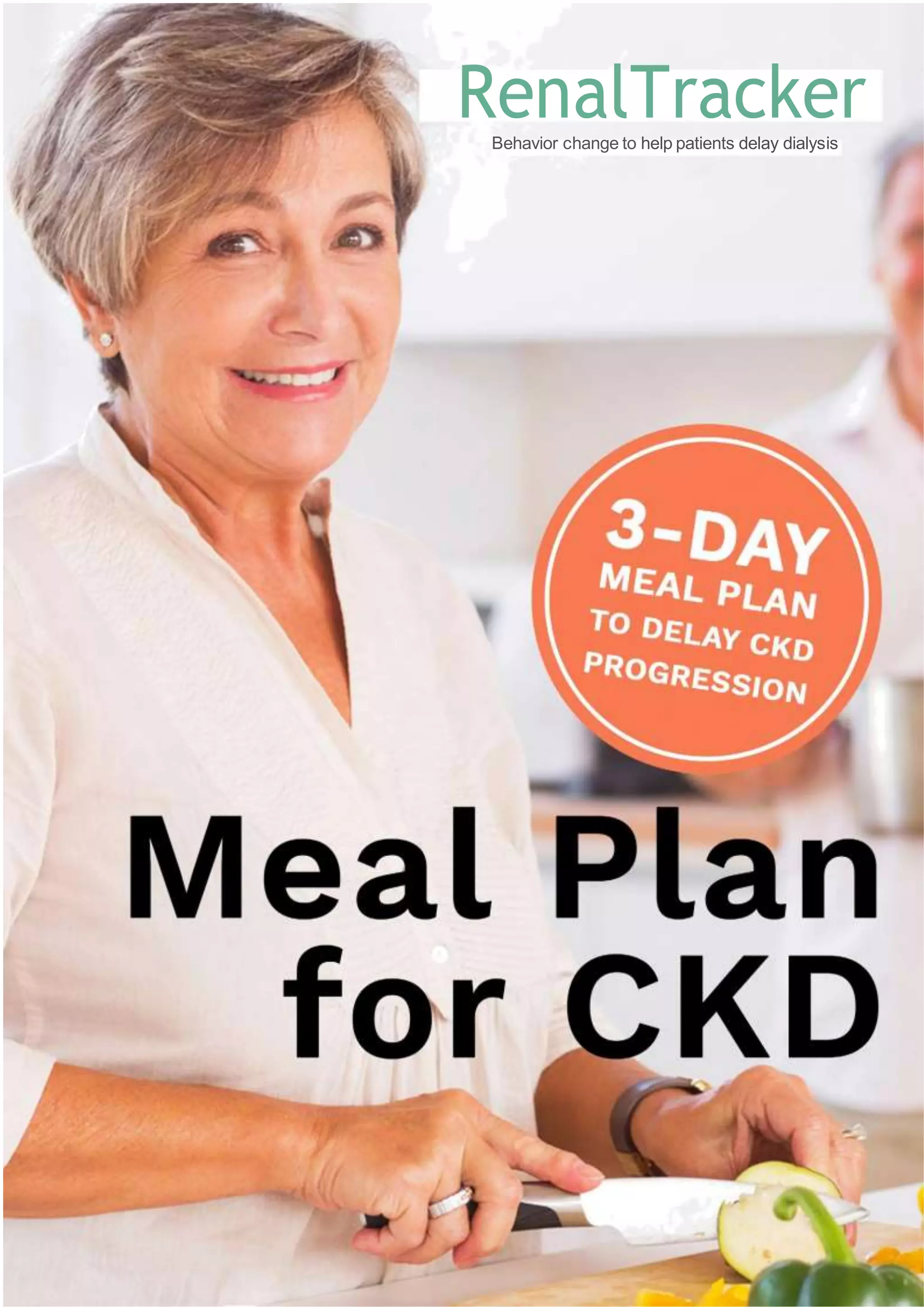 Meal Plan for CKD | PDF