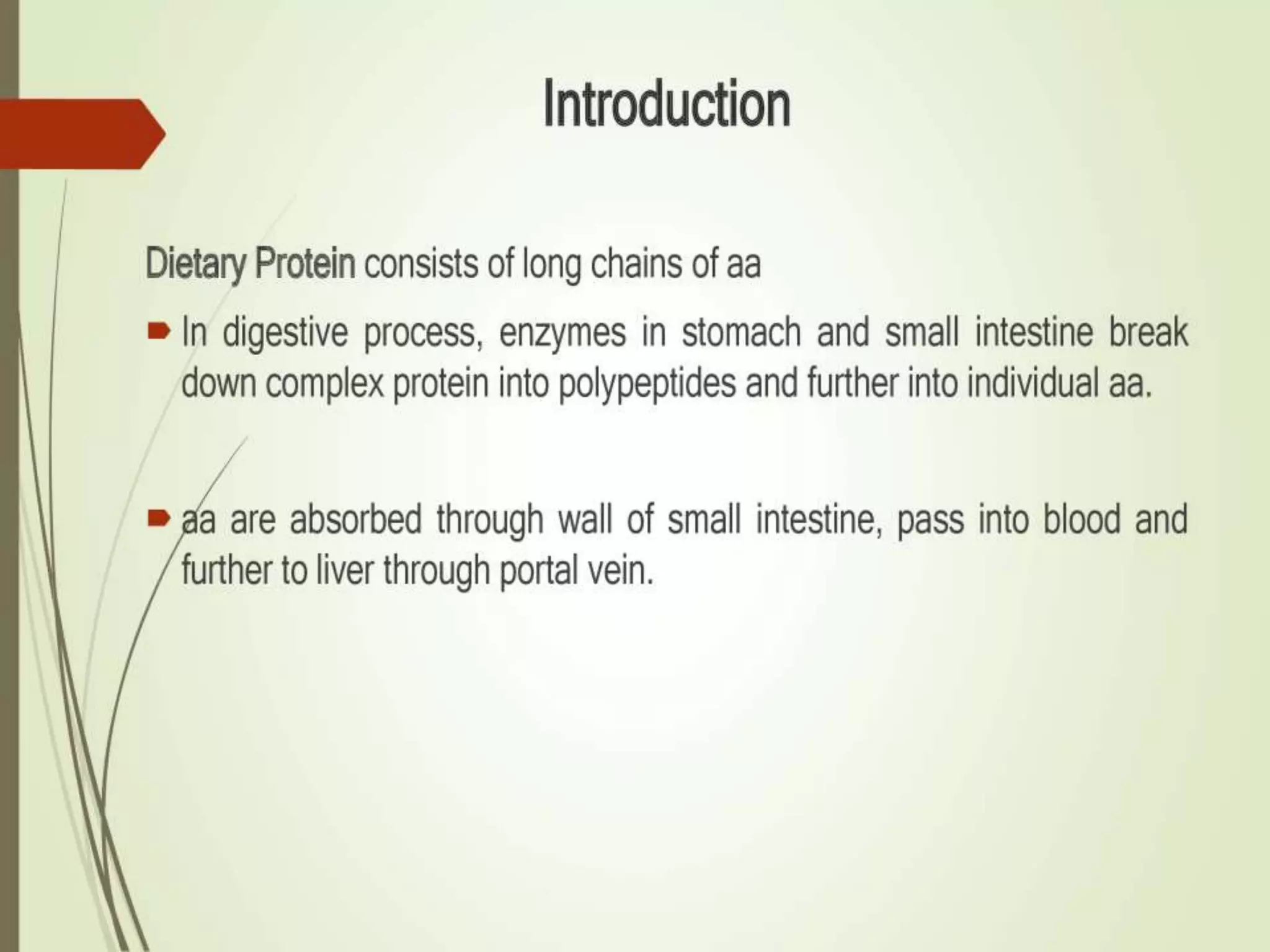 Ingestion, Digestion & Absorption of Dietary Proteins.pptx