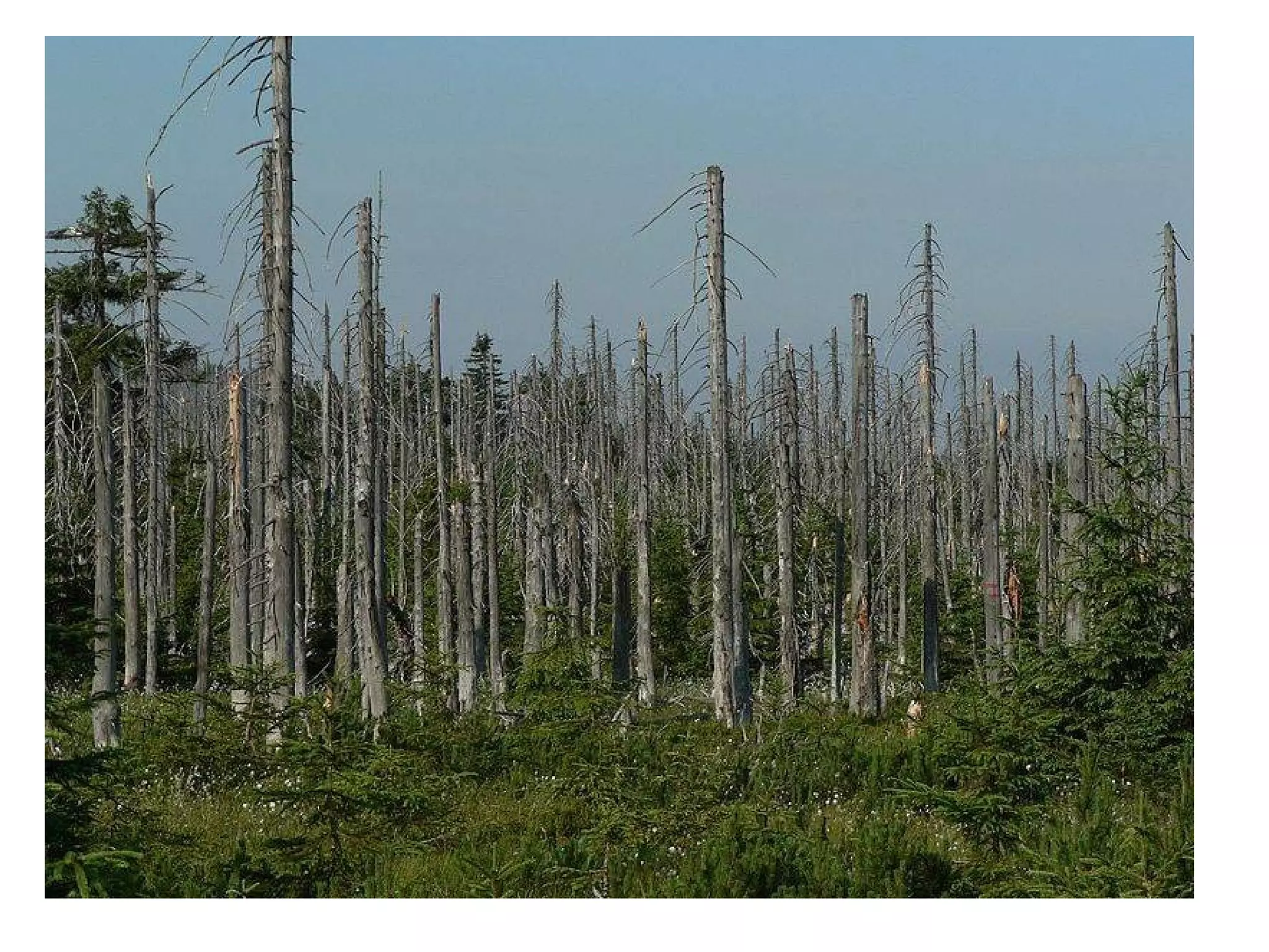 1 Climatic Hazards Introduction | PPT