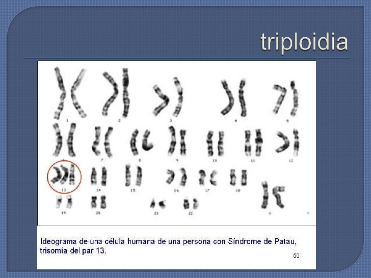 1,cèl·lula,i,material,genètic
