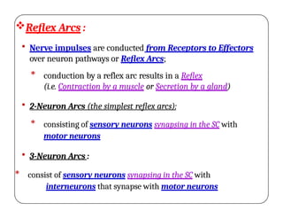 1- Centeral nervous system of BASICS.pptx