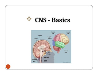 1- Centeral nervous system of BASICS.pptx