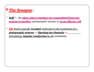 1- Centeral nervous system of BASICS.pptx