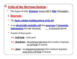 1- Centeral nervous system of BASICS.pptx