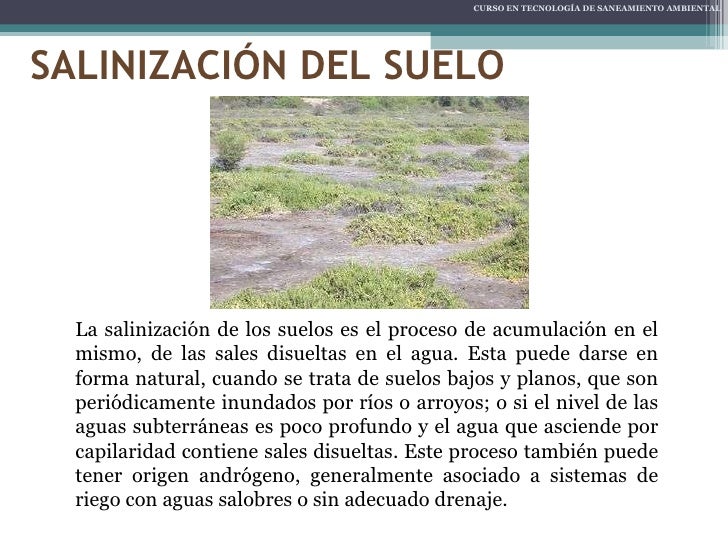 Contaminación Ambiental
