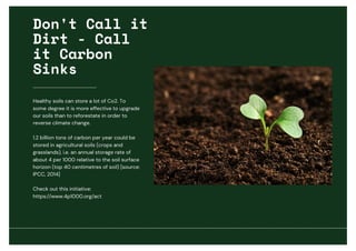 Climate Action Guide | PPT