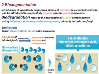 1 Bioremediation | PPT
