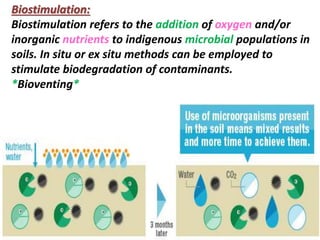 Biostimulation Bioremediation