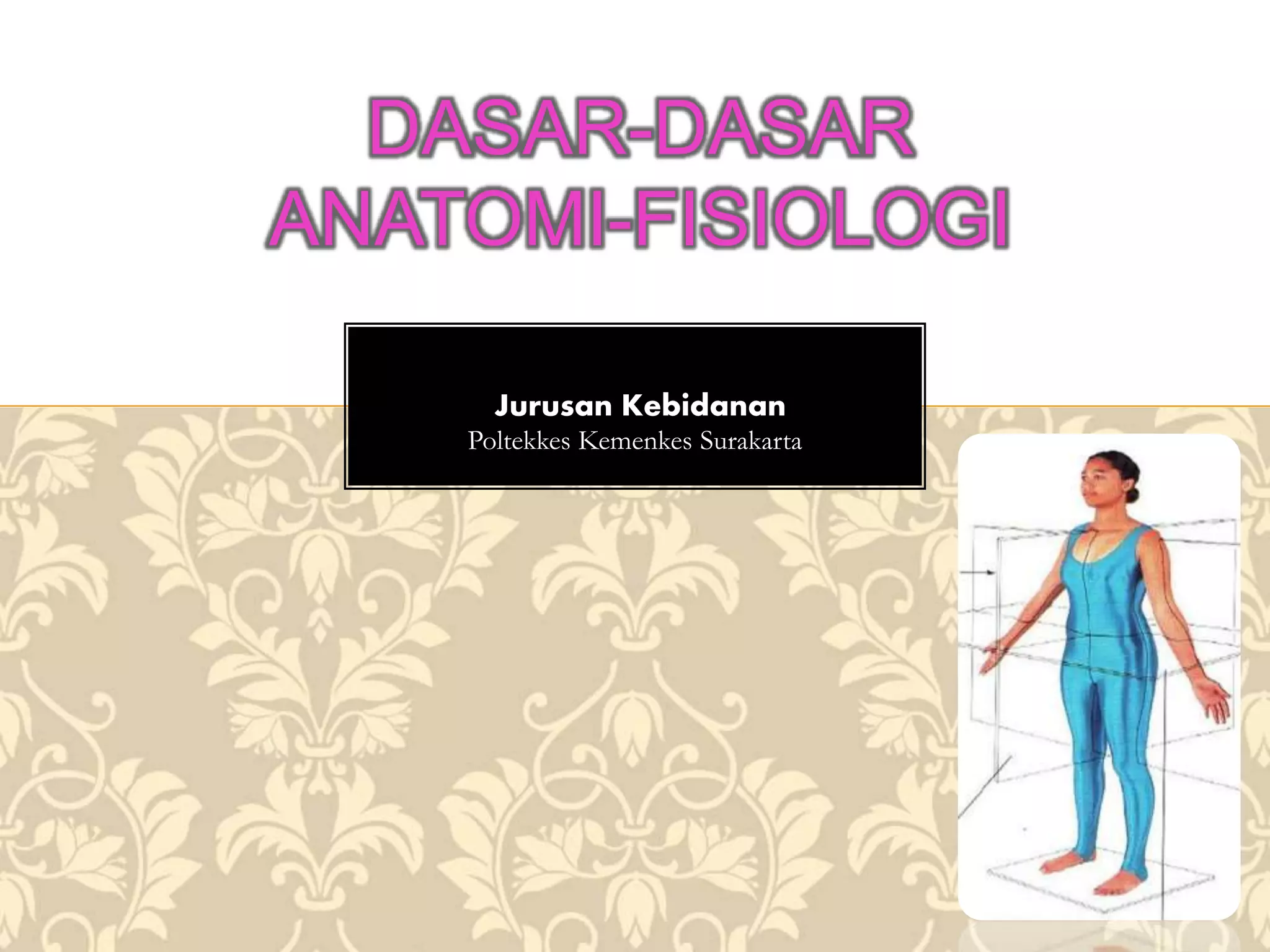 Dasar Dasar Anatomi | PPTX