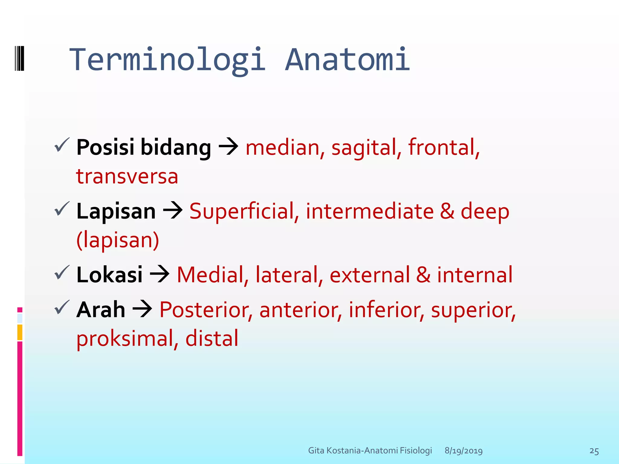 Dasar Dasar Anatomi | PPTX