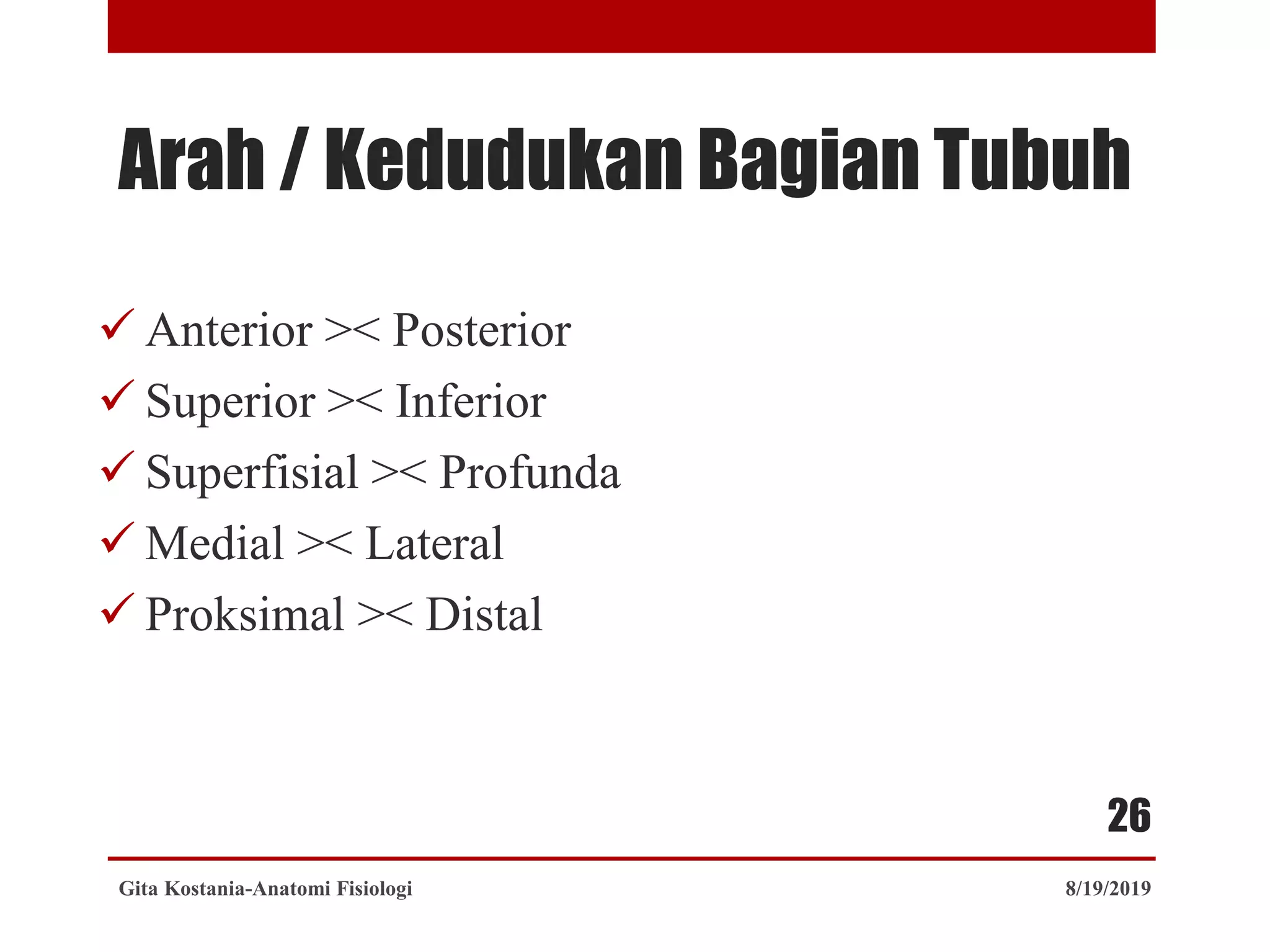 Dasar Dasar Anatomi | PPTX