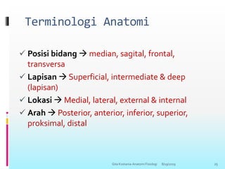 Dasar Dasar Anatomi | PPTX
