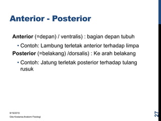 Dasar Dasar Anatomi | PPTX