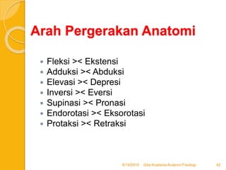 Dasar Dasar Anatomi | PPTX