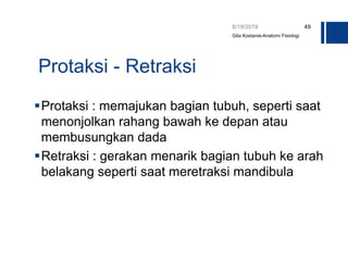 Dasar Dasar Anatomi | PPTX