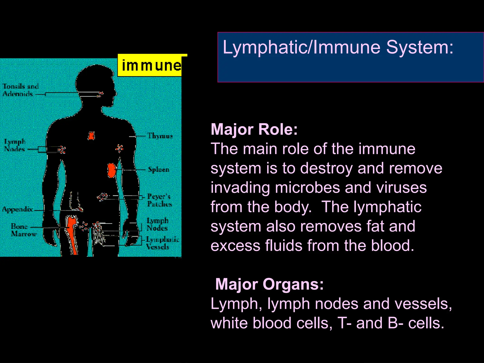 1-dasar dasar anatomi fisiologi tubuh manusia .pptx