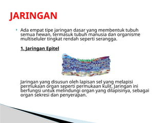 1-dasar dasar anatomi fisiologi tubuh manusia .pptx