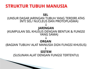 1-dasar dasar anatomi fisiologi tubuh manusia .pptx