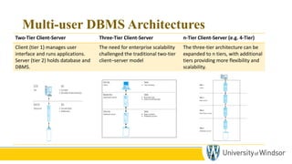 Introduction to databasecasmfnbskdfjnfkjsdnsjkdfn | PPT