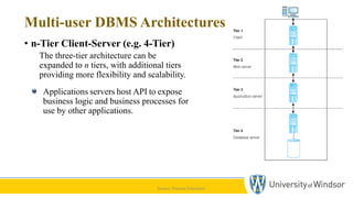 Introduction to databasecasmfnbskdfjnfkjsdnsjkdfn | PPT