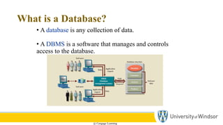 Introduction to databasecasmfnbskdfjnfkjsdnsjkdfn | PPT