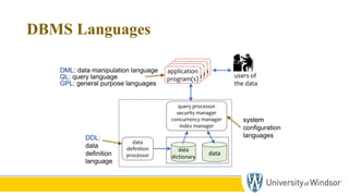 Introduction to databasecasmfnbskdfjnfkjsdnsjkdfn | PPT