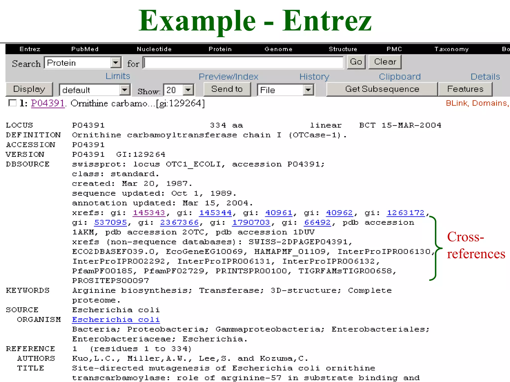 Data Retrieval Systems | PDF